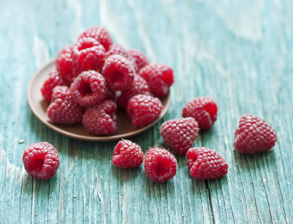 Lipsum- copy – Healthy Solutions Today